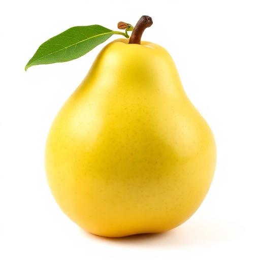 Andesbhumi - Premium Chilean Fruit Exports | Quality Fruits from Chile